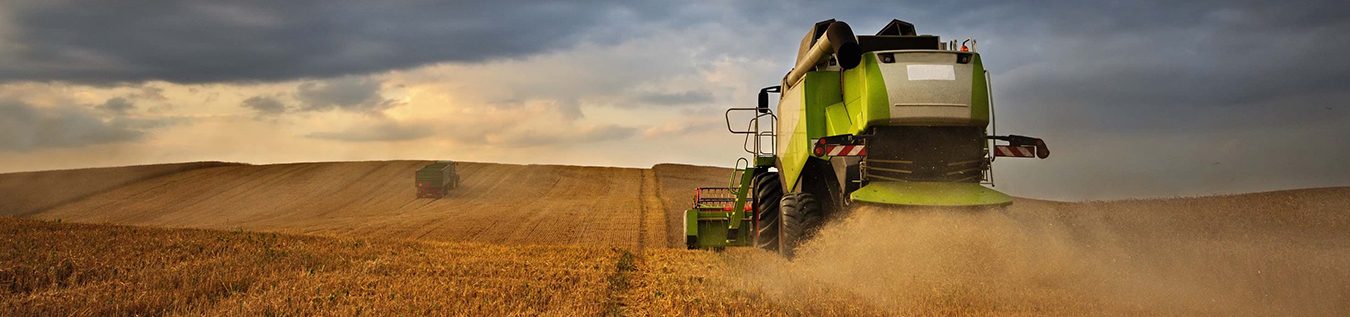 the-mineral-wheel-1350×317 – Earthwise Agriculture