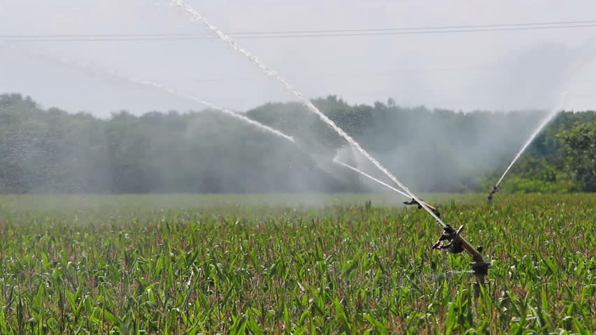 big gun irrigation – Earthwise Agriculture